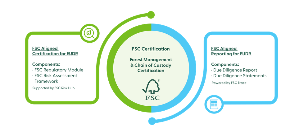 Regolamento EUDR | Forest Stewardship Council